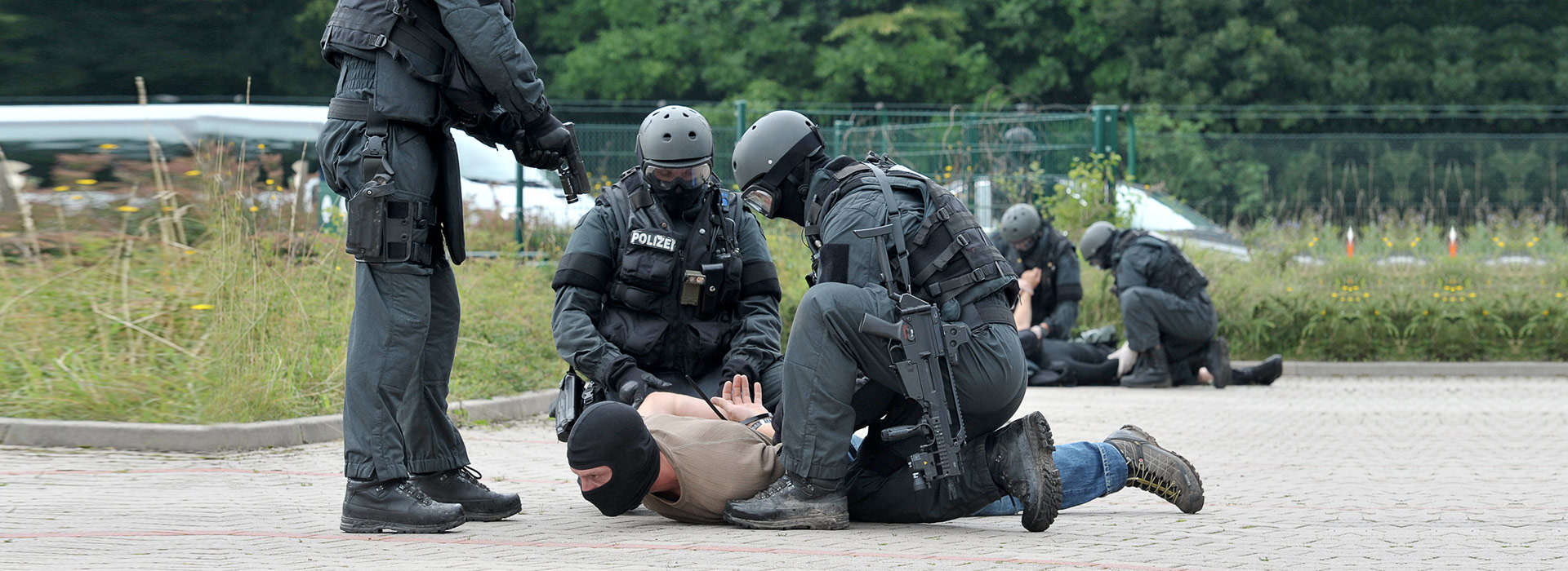 Avci System - WTEO AKADEMIE für Kampfkunst, Körperbewusstsein und ...